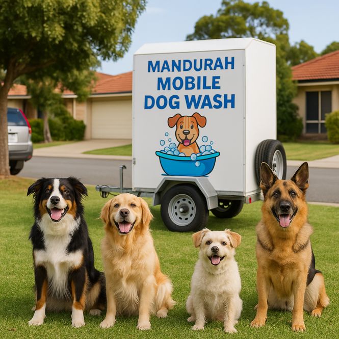 Mandurah Mobile Dog Wash | Affordable Dog Wash at Your Door
